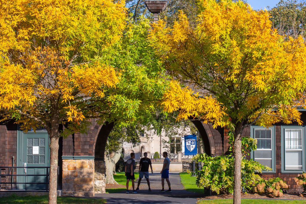 Sustain Salve’s Foundation – Our Mission. Our Moment.